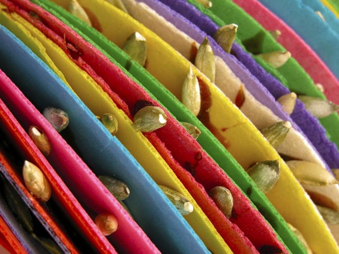 Dulces típicos mexicanos, una herencia de delicioso sabor y color - CR ...