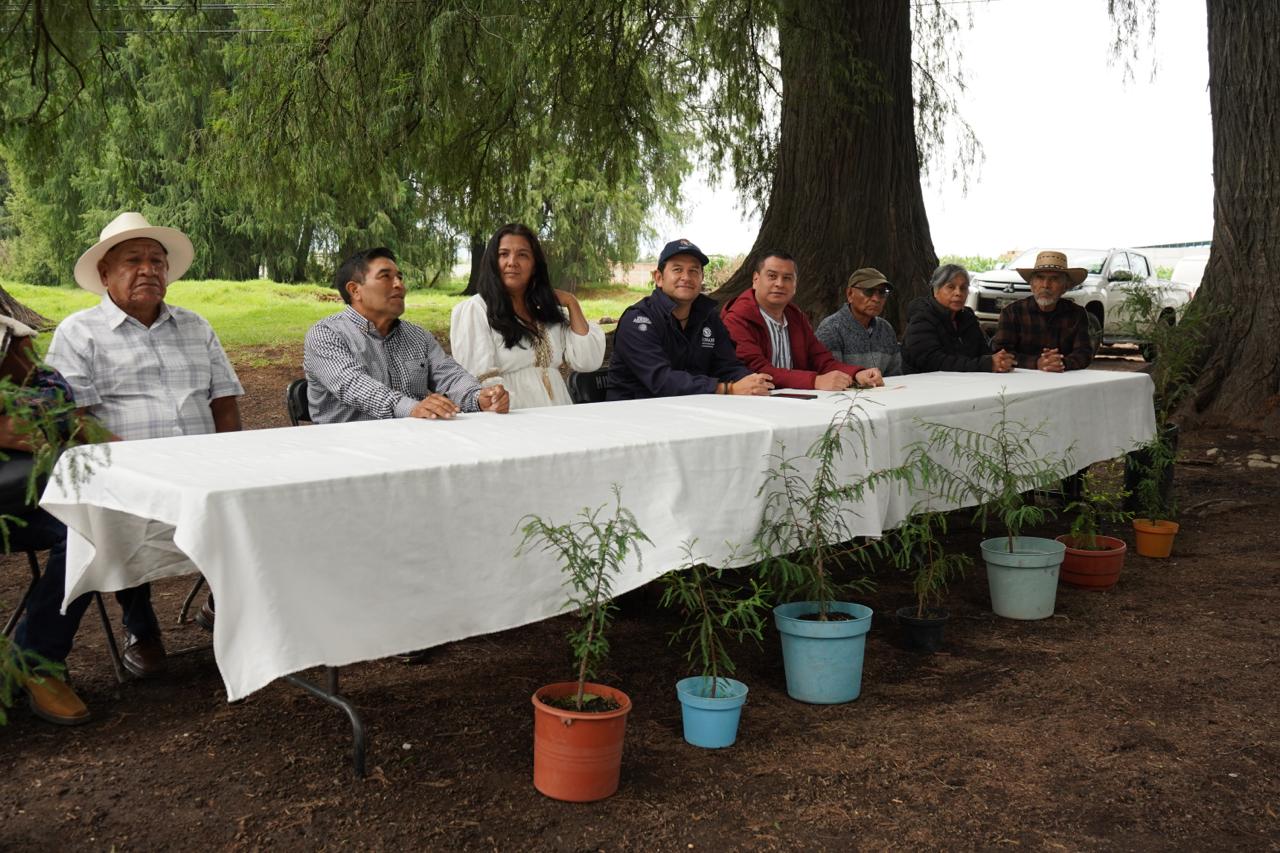 Celebran el Día del Ahuehuete en Texcoco - CR Comunicación